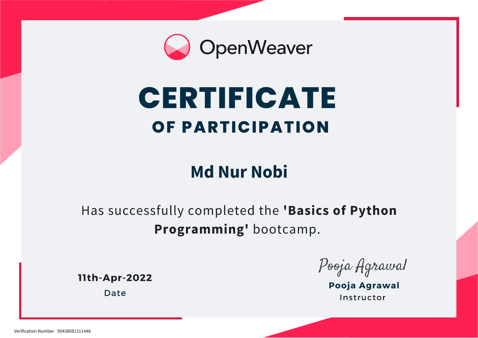 Certificate Basics Of Python Programming For Absolute Beginners